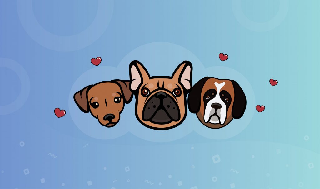 How to set up a dog photo booth | Simple Booth