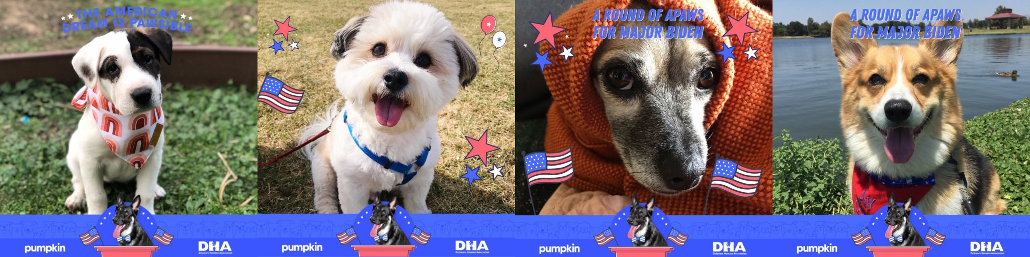 How to set up a dog photo booth | Simple Booth